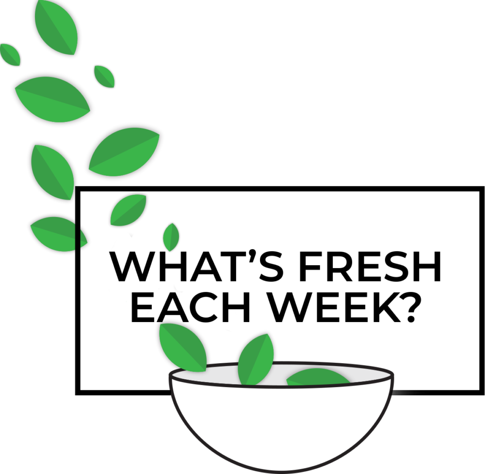 Custom Healthy Meal Prep Service Vancouver